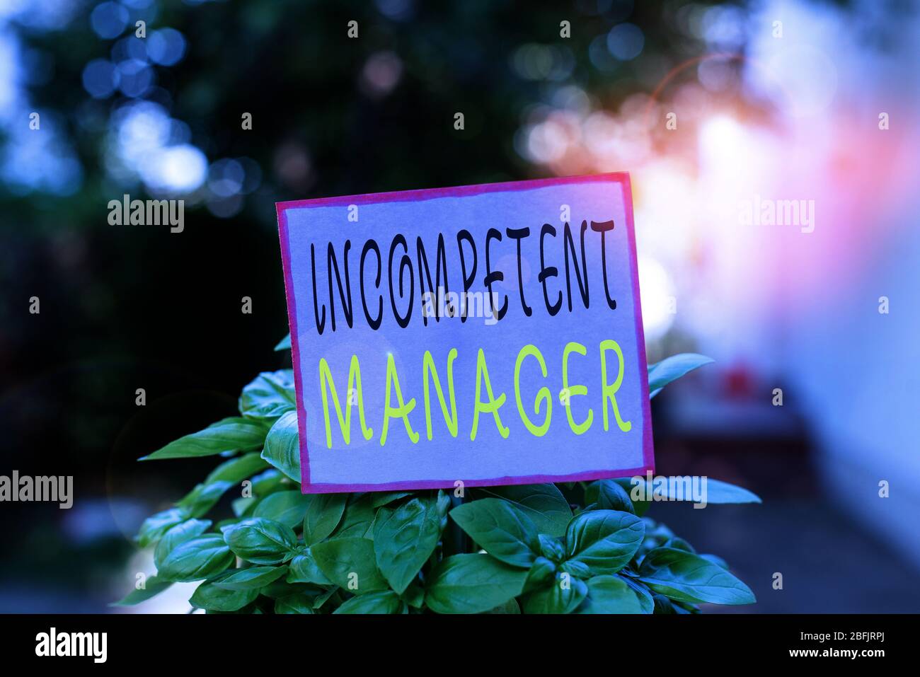 Conceptual hand writing showing Incompetent Manager. Concept meaning ...
