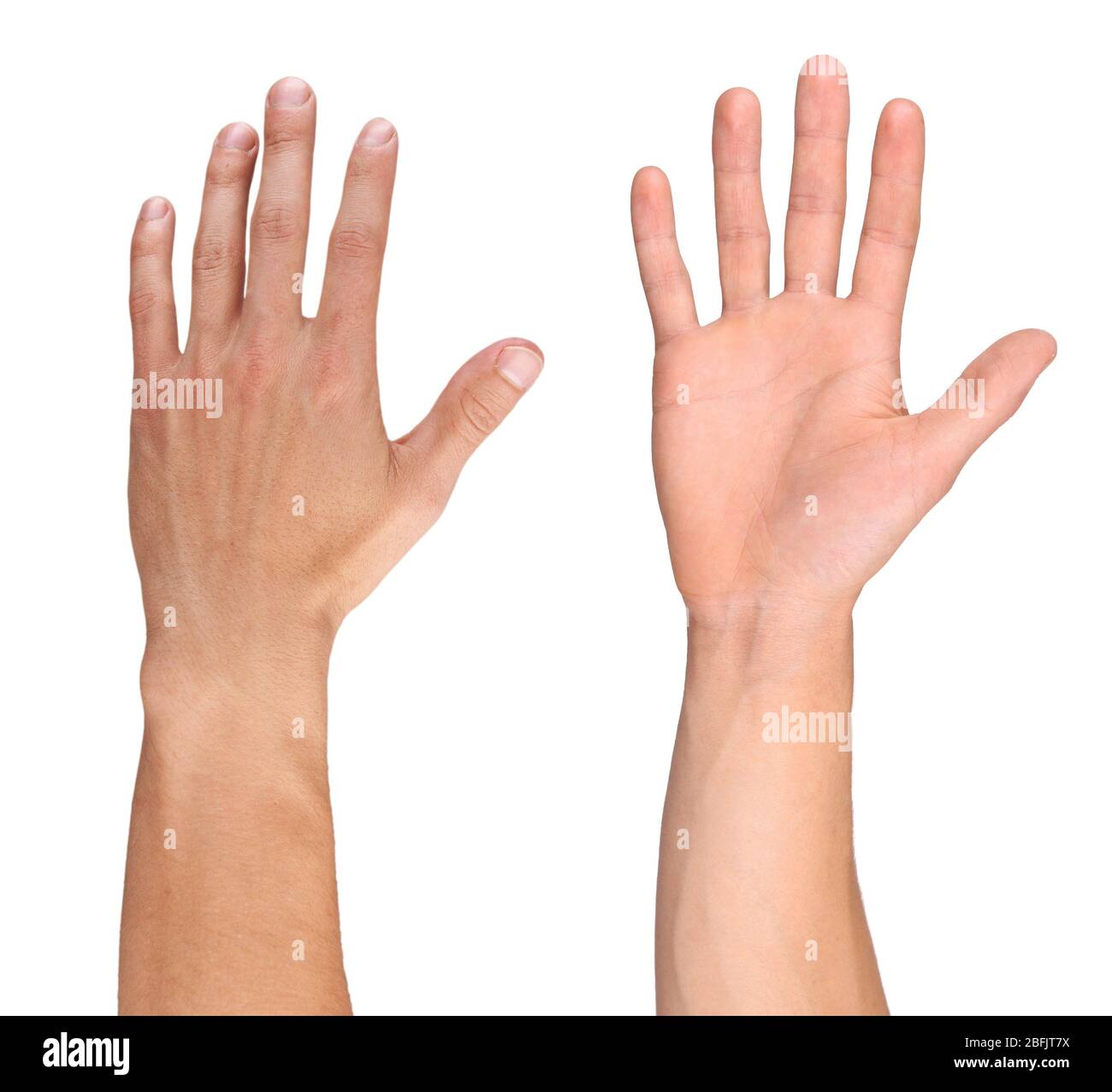 Men hand isolated on white Stock Photo - Alamy