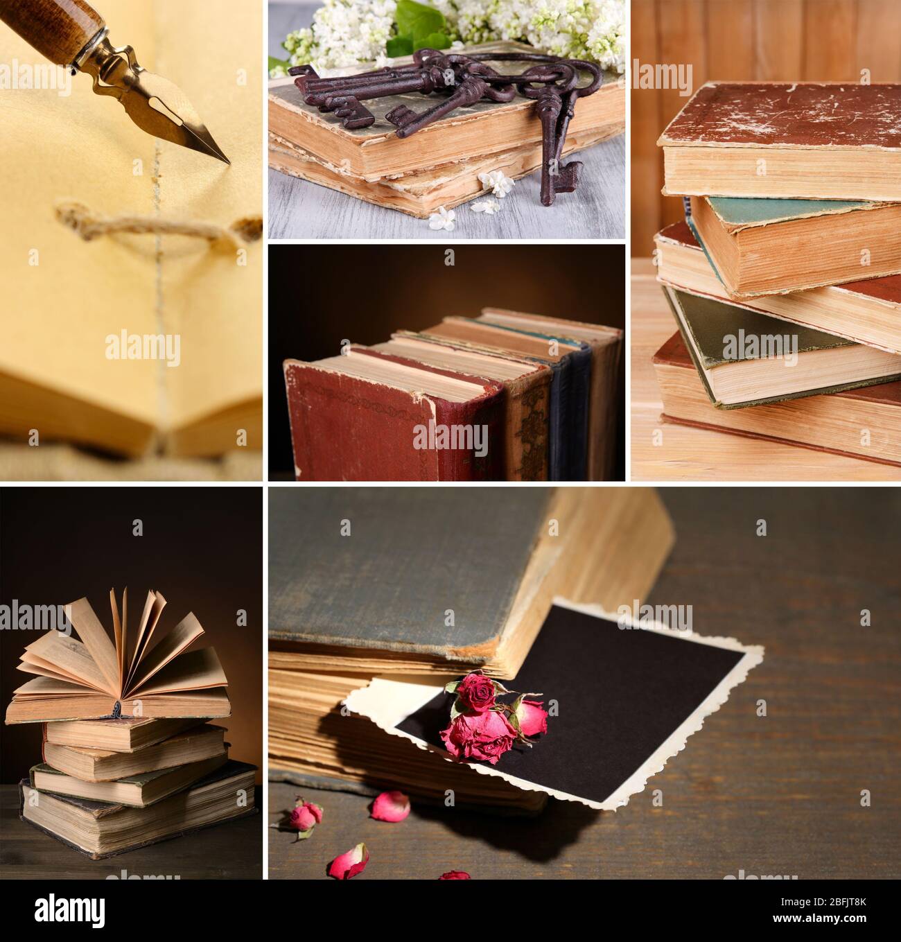 Photo collage university hi-res stock photography and images - Alamy