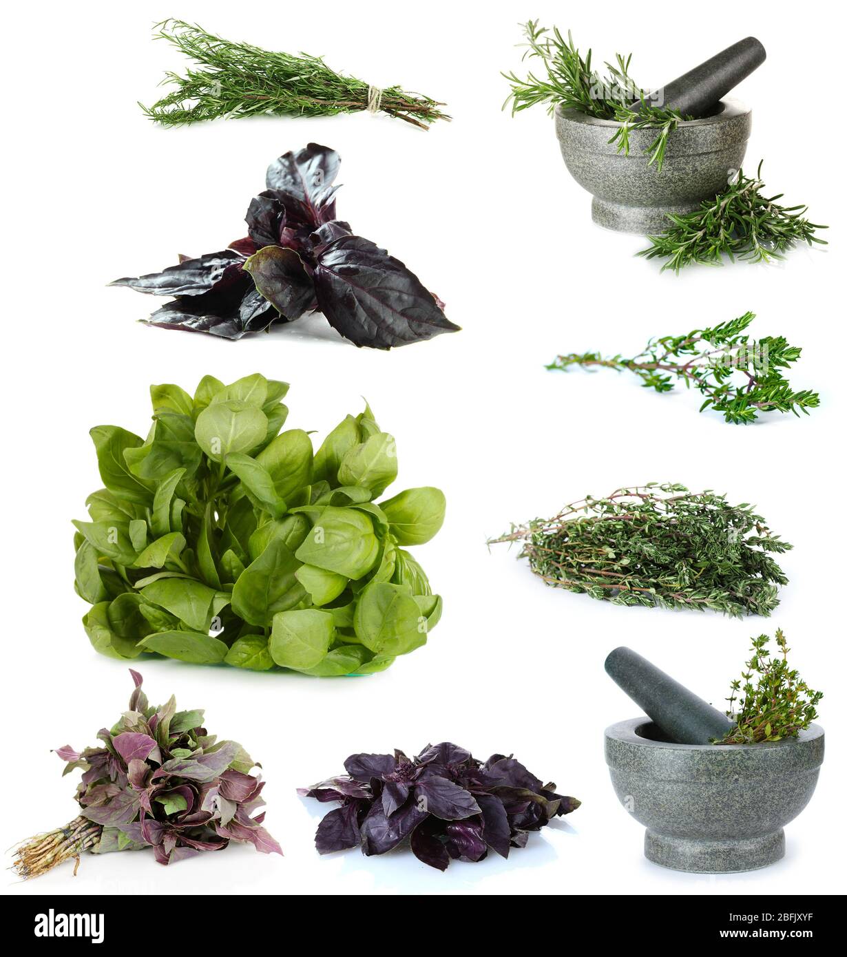 Fresh herbal collage Stock Photo - Alamy