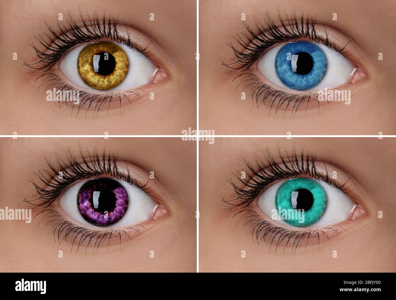 Colorful eyes collage close-up Stock Photo - Alamy
