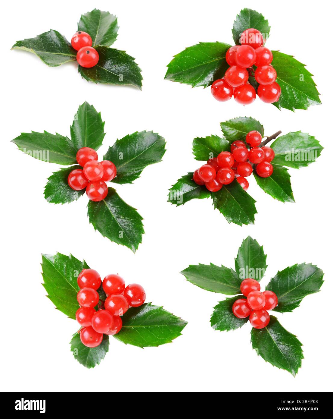 Leaves of mistletoe with berries collage, isolated on white Stock Photo ...