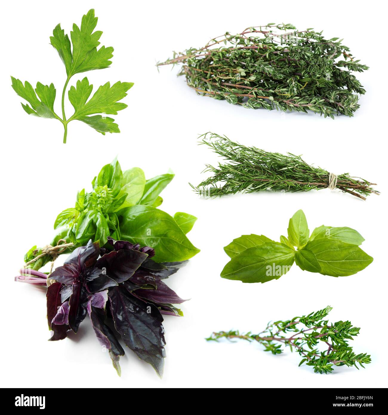 Fresh herbal collage Stock Photo - Alamy