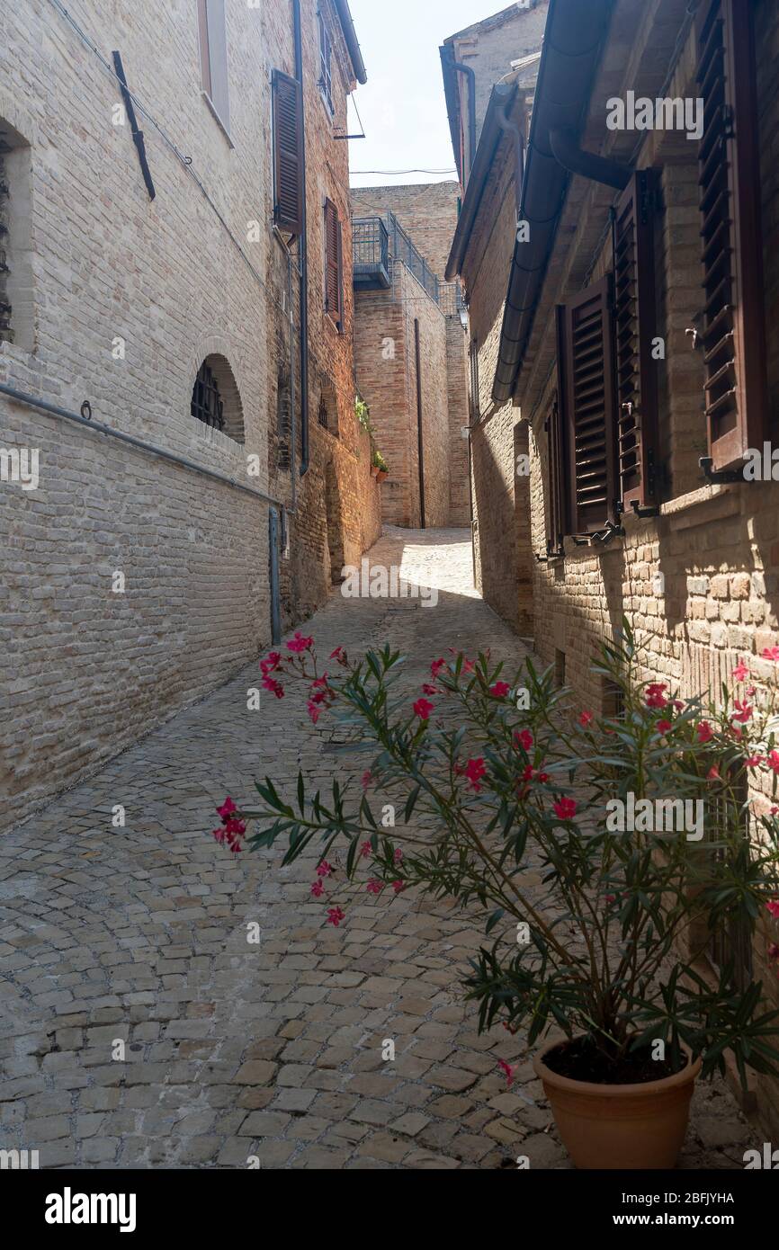 Treia, Macerata, Marches, Italy: a street of the historic town Stock ...