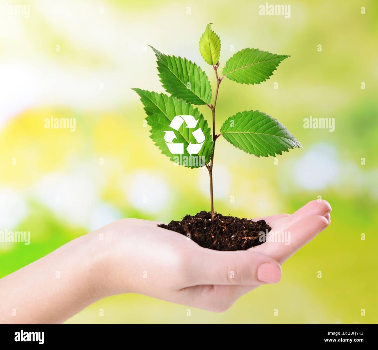 Plant with recycle symbol in hand on bright background Stock Photo - Alamy