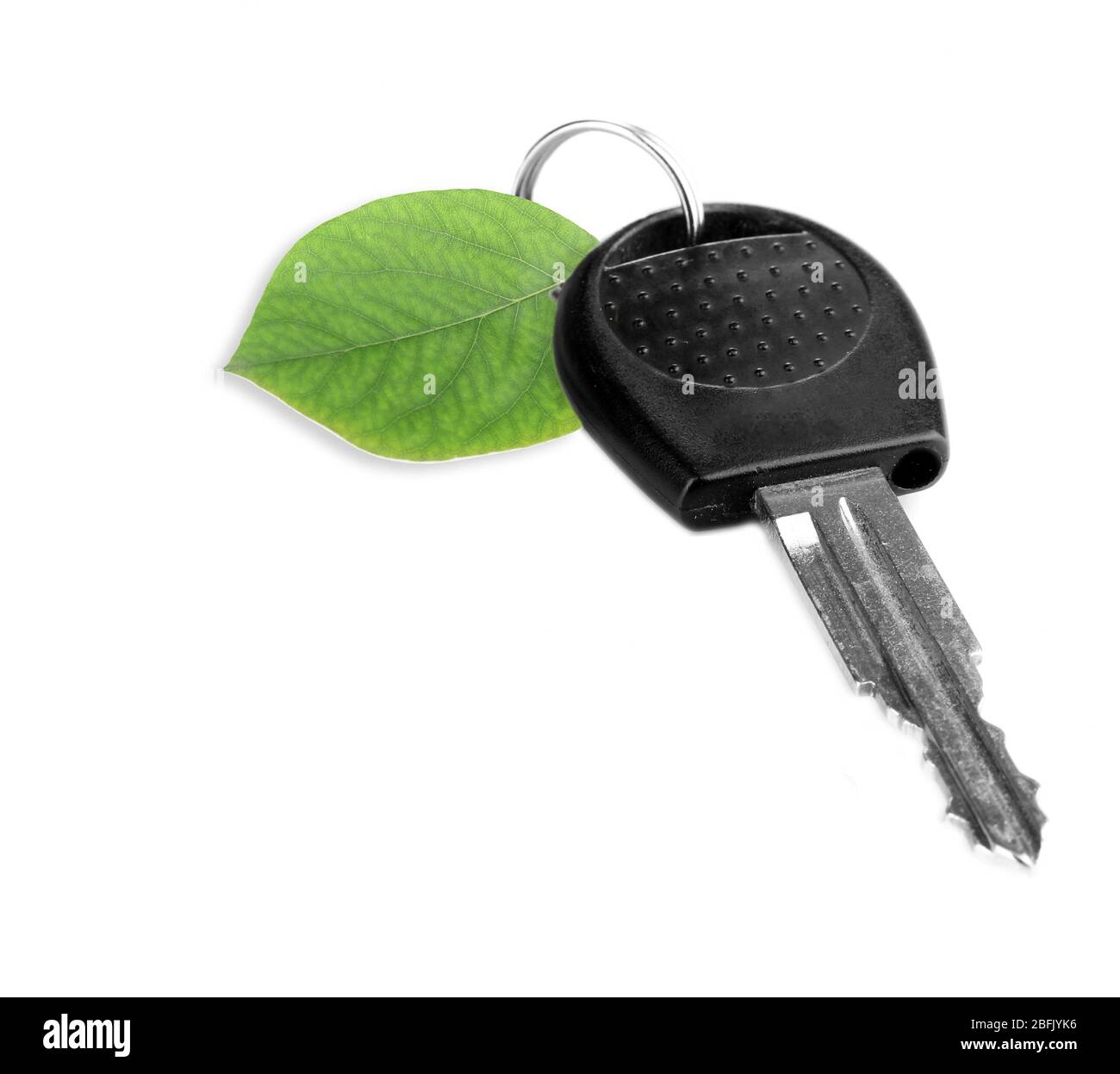 Car key with green leaf trinket isolated on white Stock Photo - Alamy