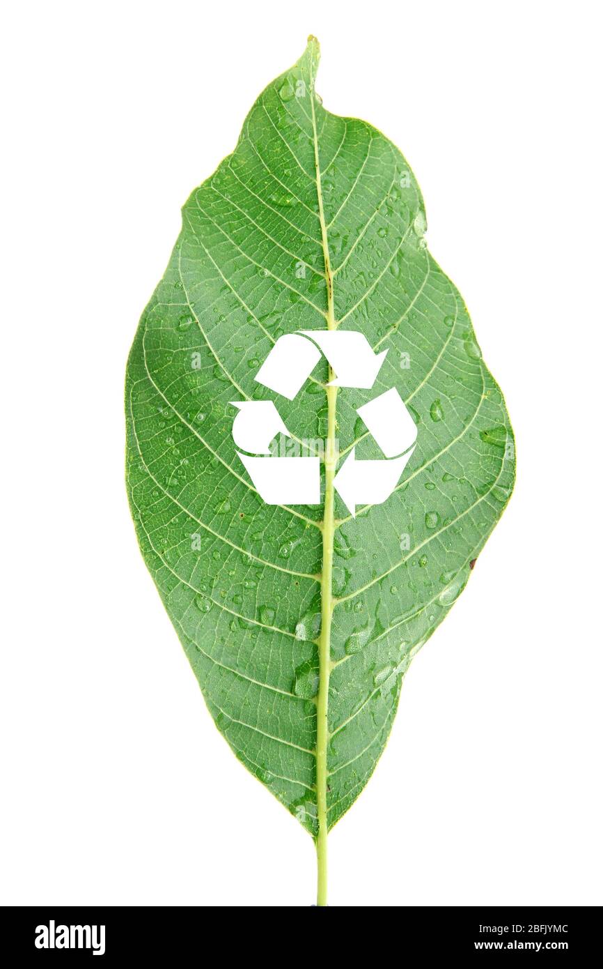Recycle symbol on green leaf, recycling concept Stock Photo - Alamy