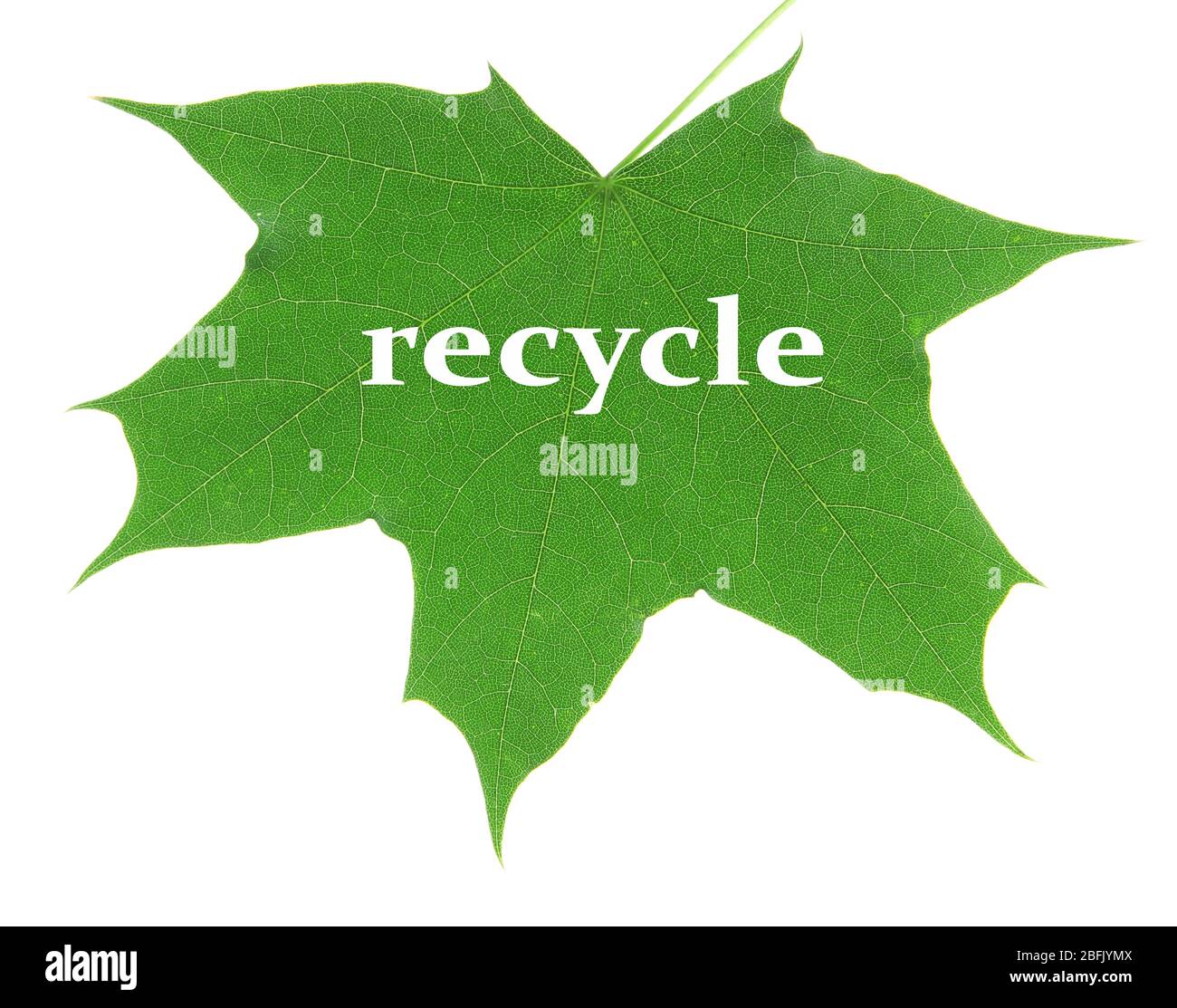 Word recycle symbol on green leaf, recycling concept Stock Photo - Alamy