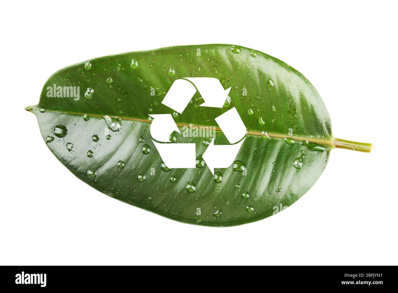 Recycle symbol on green leaf, recycling concept Stock Photo - Alamy