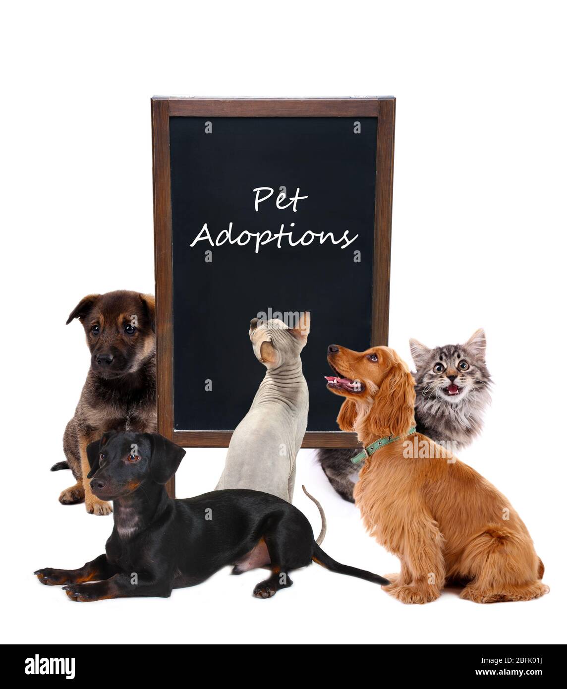 Adoptions hi-res stock photography and images - Alamy