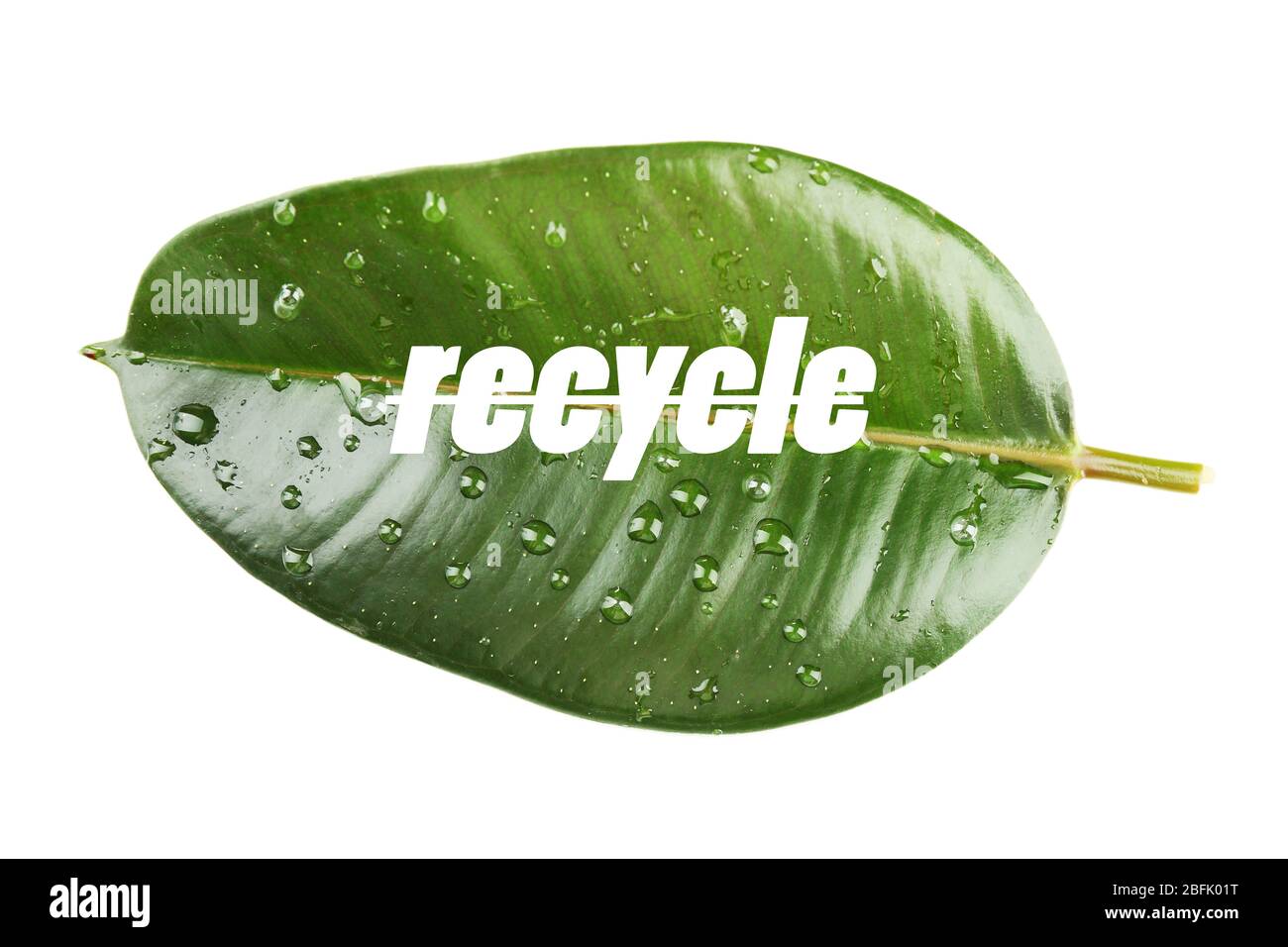 Word recycle symbol on green leaf, recycling concept Stock Photo - Alamy