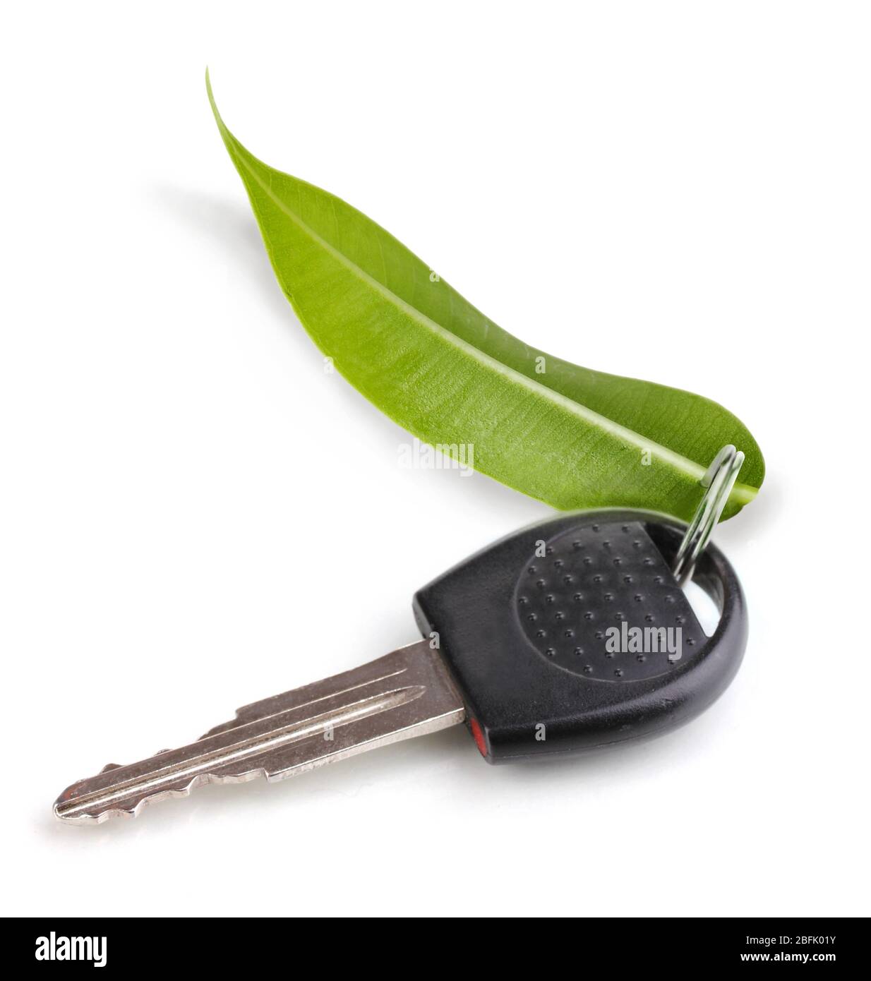 Car key with green leaf trinket isolated on white Stock Photo - Alamy