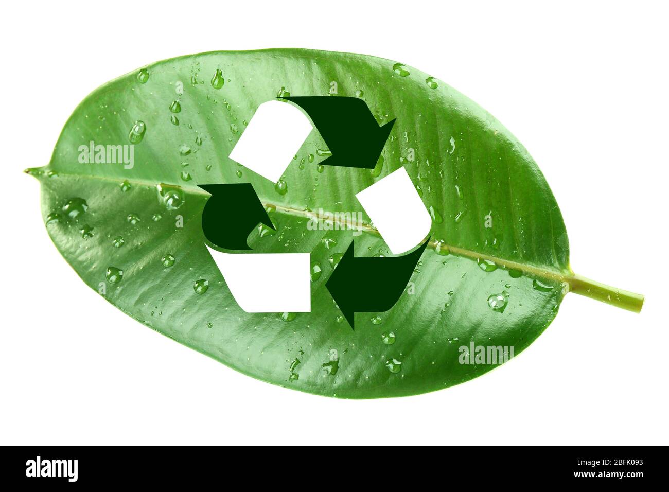 Recycle symbol on green leaf, recycling concept Stock Photo - Alamy