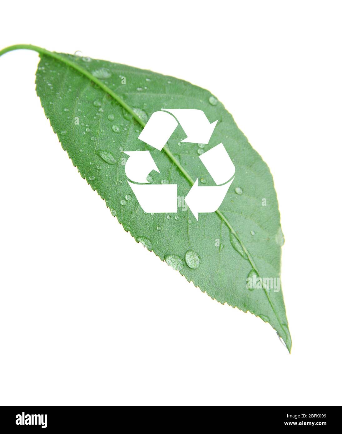 Recycle symbol on green leaf, recycling concept Stock Photo - Alamy