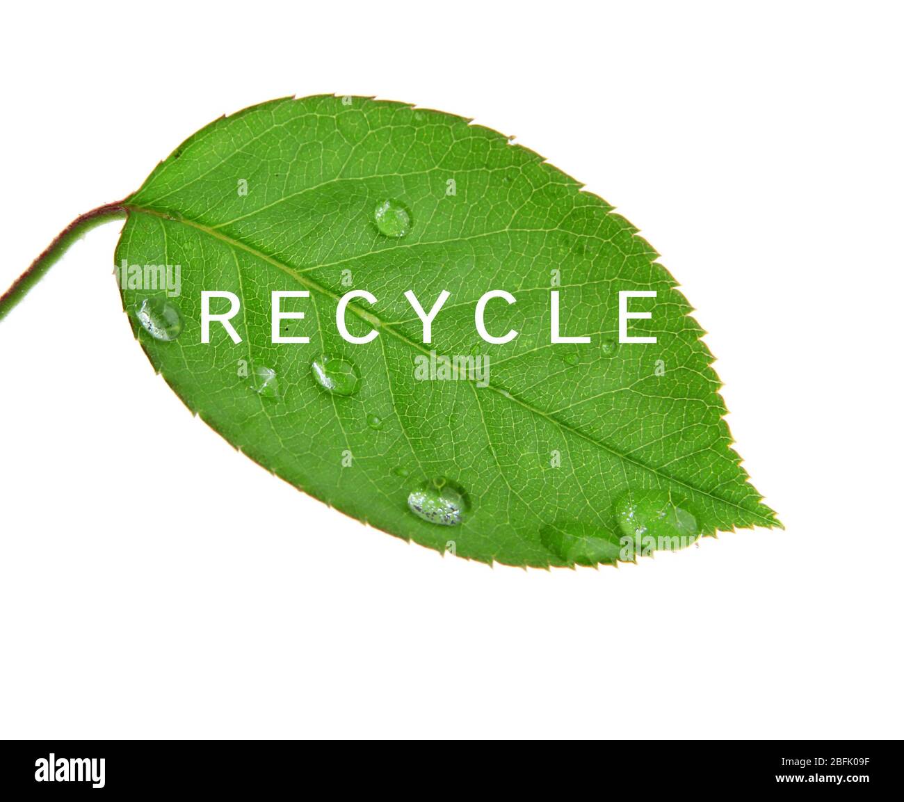Word recycle symbol on green leaf, recycling concept Stock Photo - Alamy