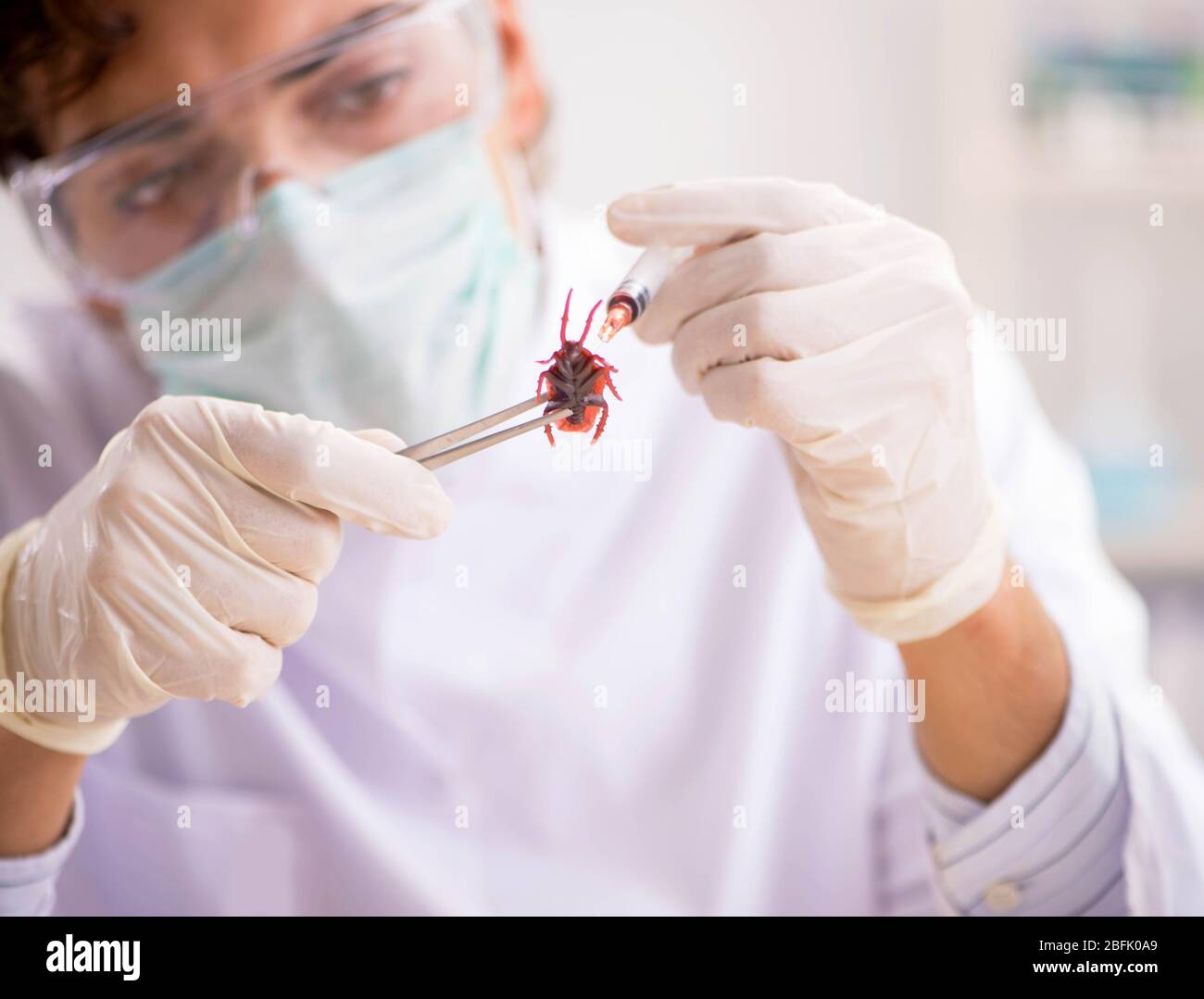 The male entomologist working in the lab on new species Stock Photo - Alamy