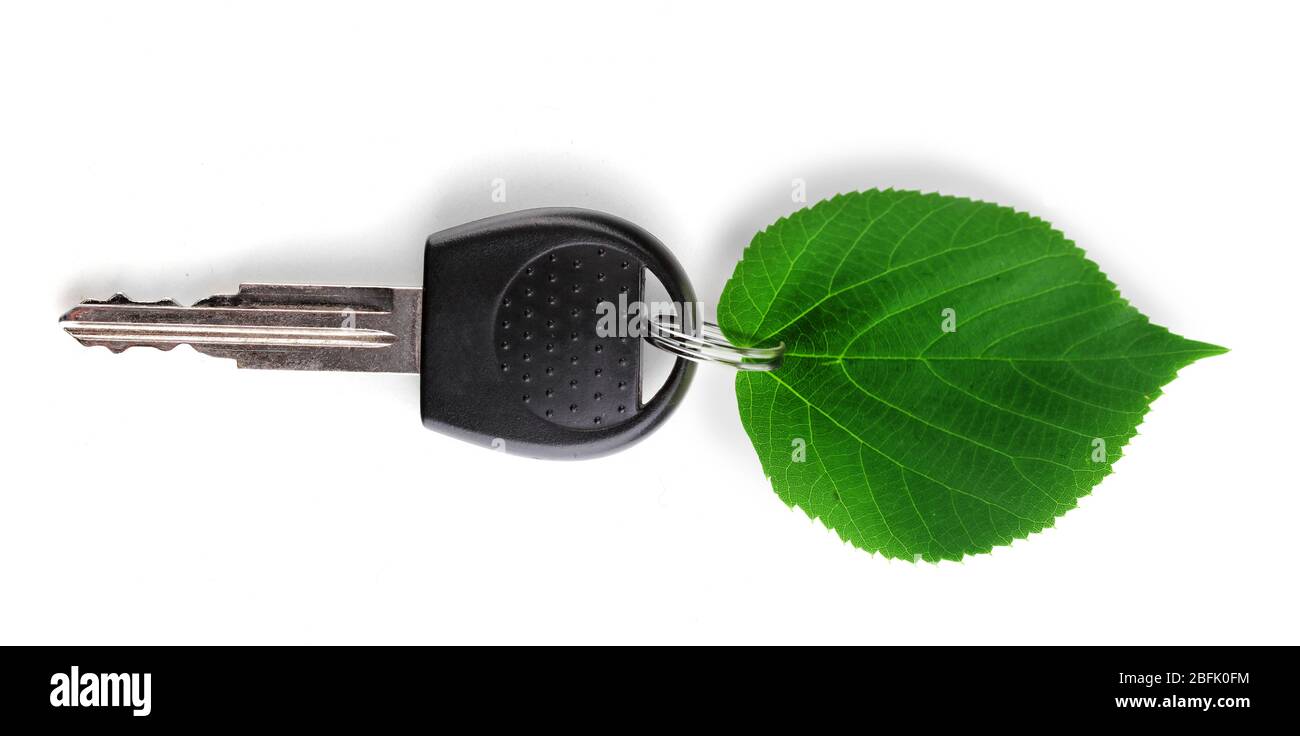 Car key with green leaf trinket isolated on white Stock Photo - Alamy