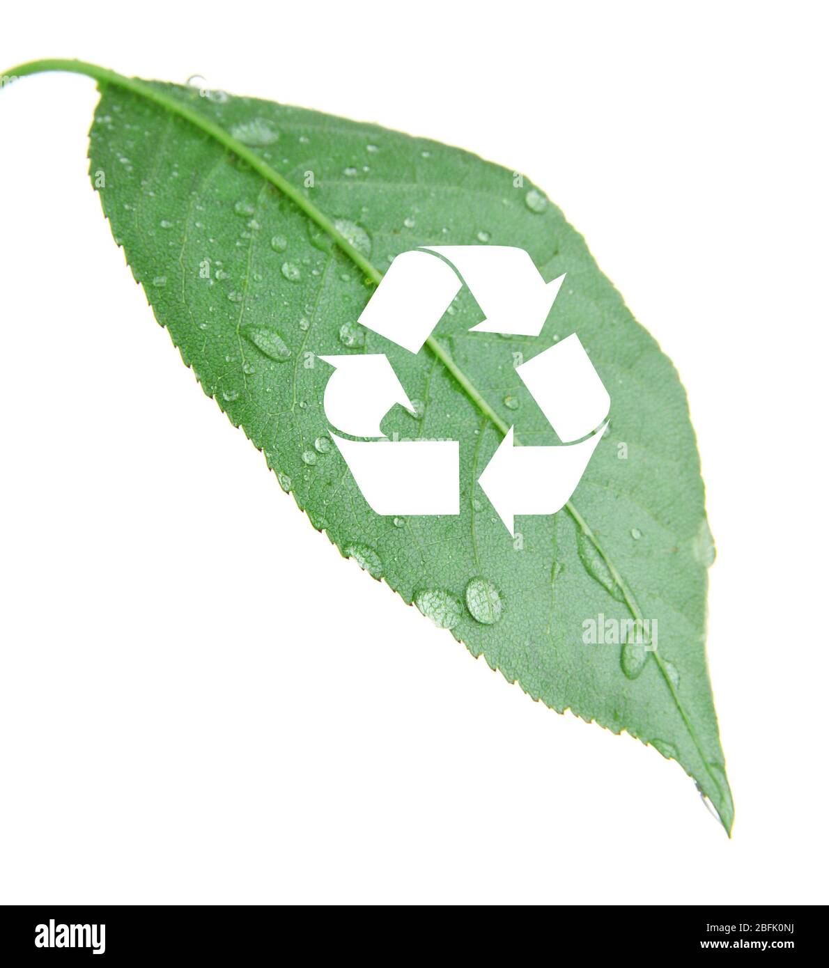 Recycle symbol on green leaf, recycling concept Stock Photo - Alamy