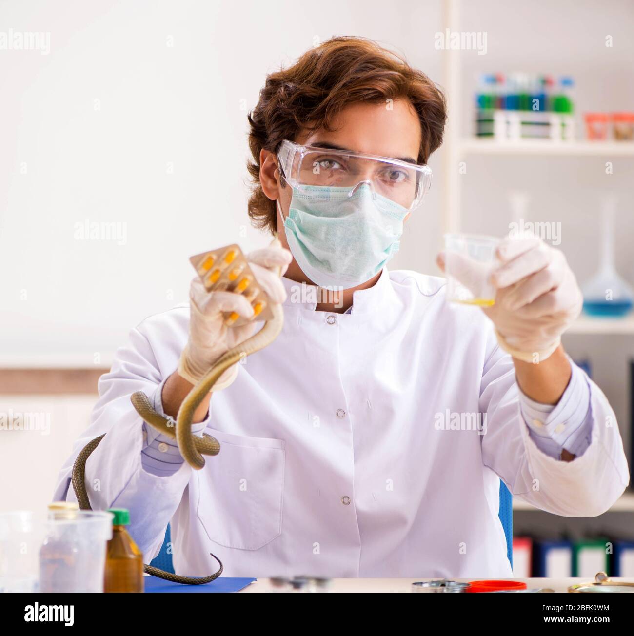 The male scientist extracting poison from snake for drug synthesis ...
