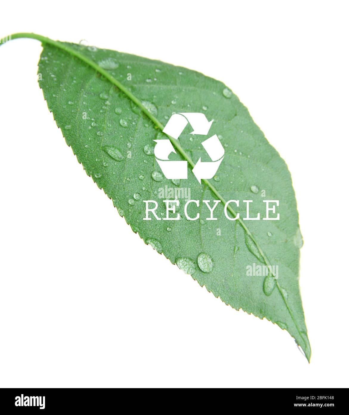 Recycle symbol on green leaf, recycling concept Stock Photo - Alamy