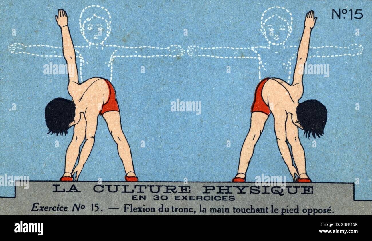Exercice de gymnastique et renforcement musculaire, entretien physique ...