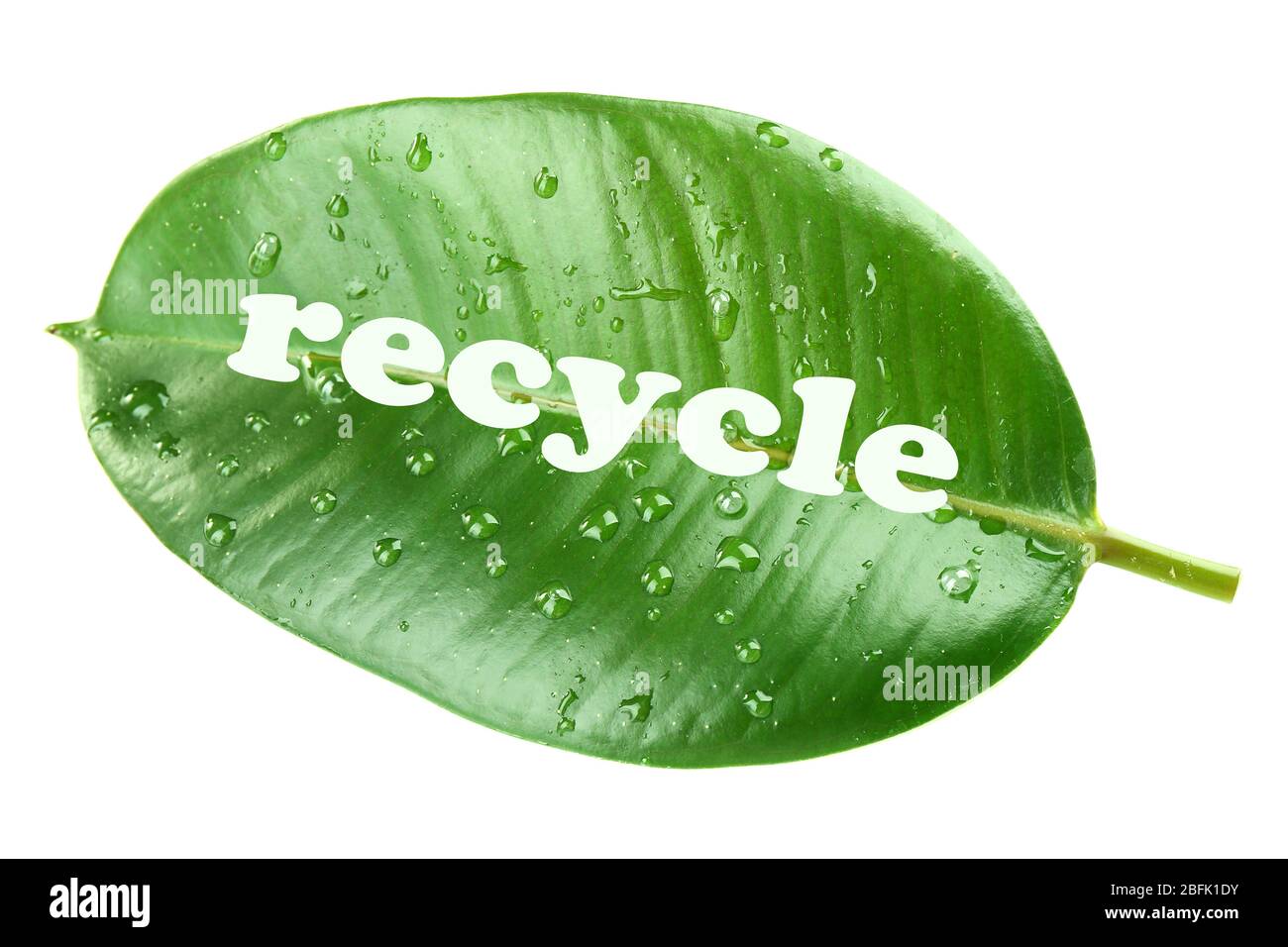 Word recycle symbol on green leaf, recycling concept Stock Photo - Alamy