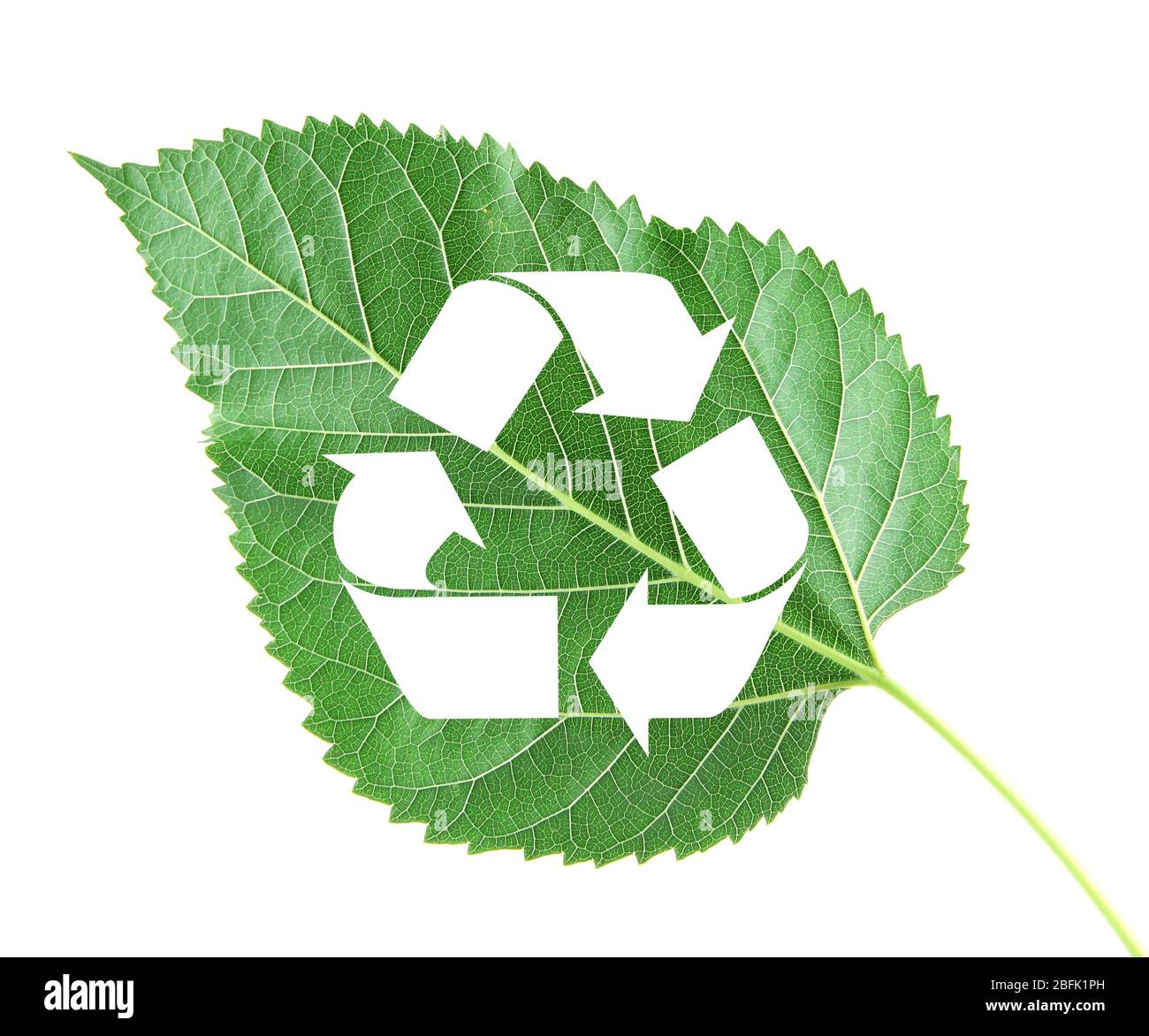 Recycle symbol on green leaf, recycling concept Stock Photo - Alamy