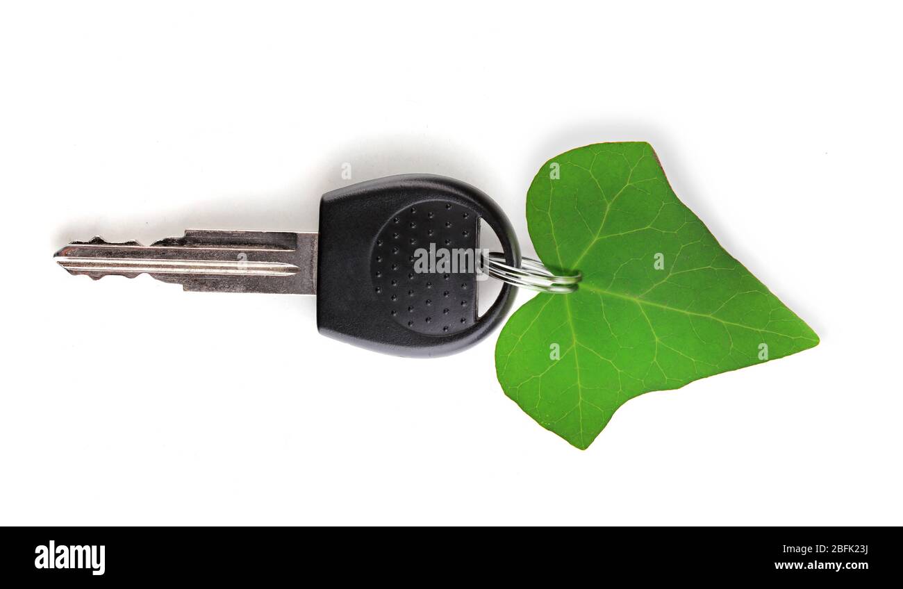 Car key with green leaf trinket isolated on white Stock Photo - Alamy