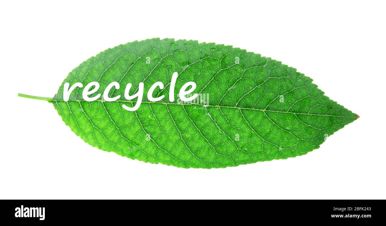 Word recycle symbol on green leaf, recycling concept Stock Photo - Alamy
