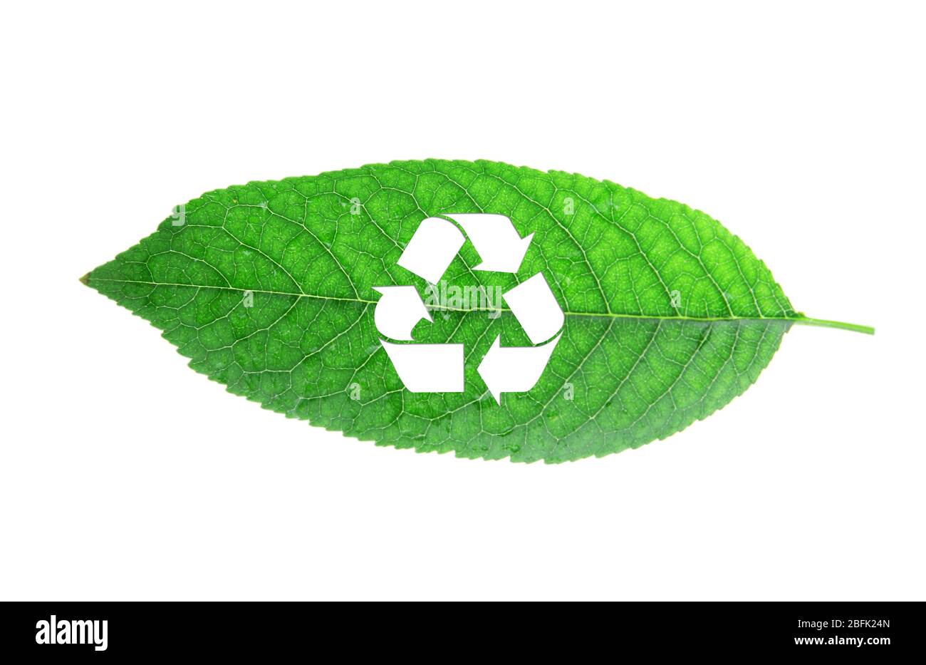 Recycle symbol on green leaf, recycling concept Stock Photo - Alamy