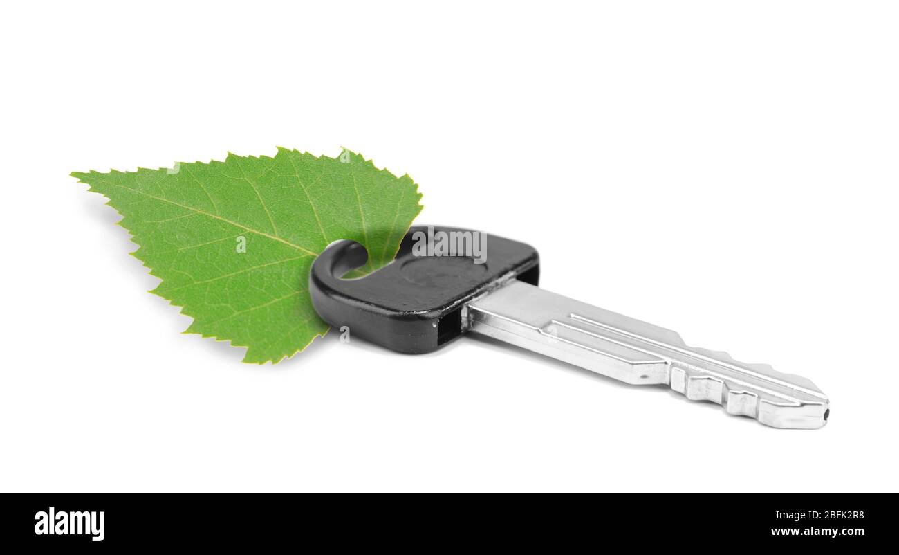 Leaf turn isolated hi-res stock photography and images - Alamy