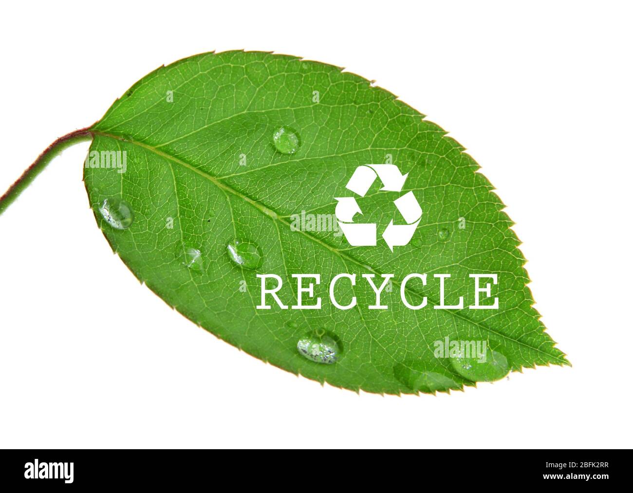 Recycle symbol on green leaf, recycling concept Stock Photo - Alamy