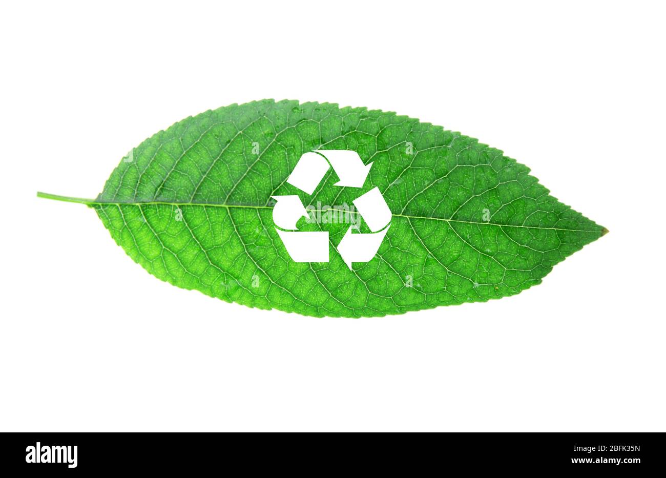 Recycle symbol on green leaf, recycling concept Stock Photo - Alamy