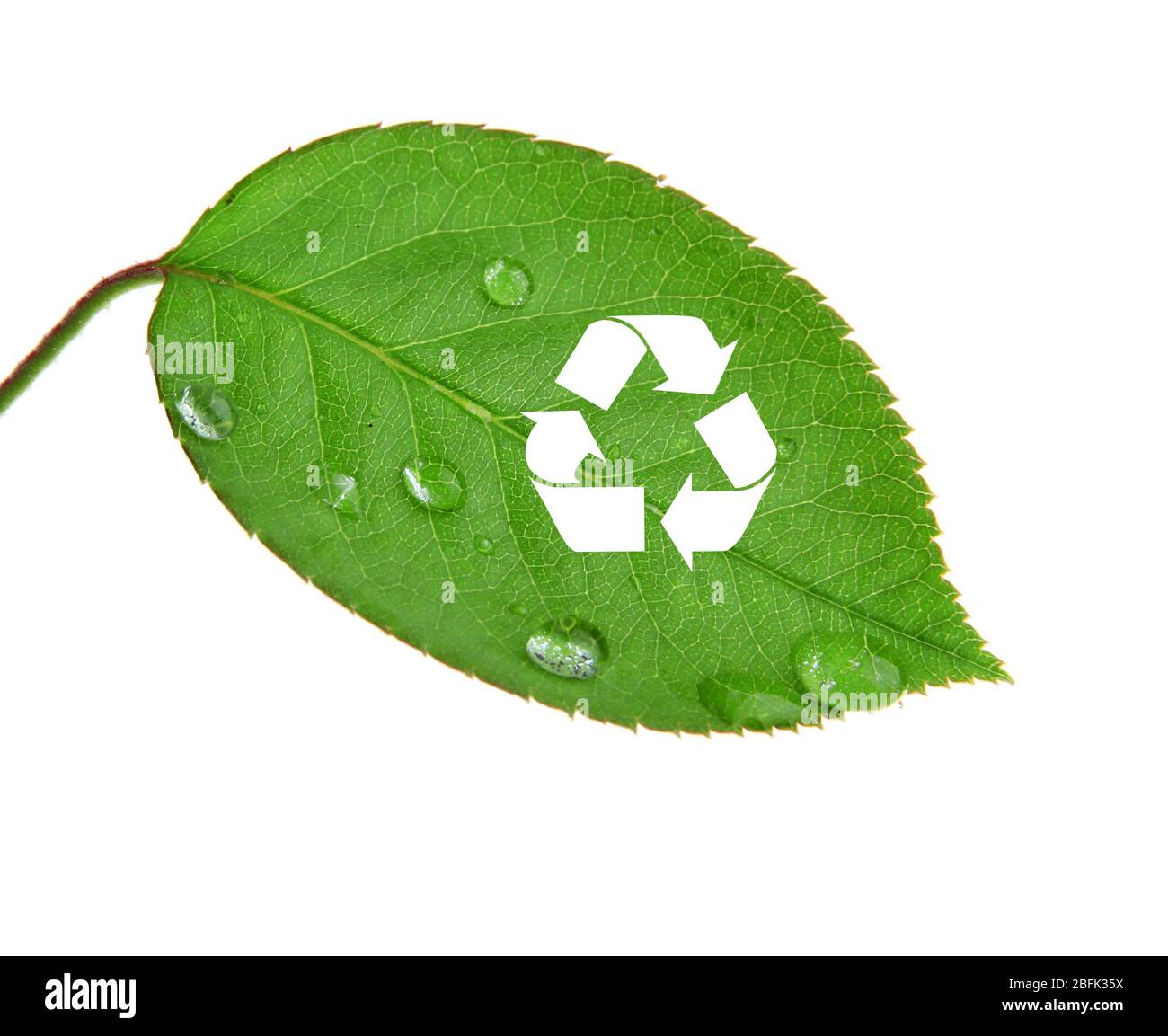 Recycle symbol on green leaf, recycling concept Stock Photo - Alamy