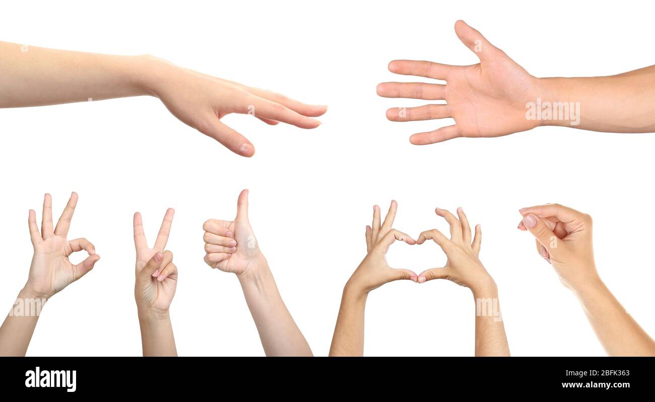 Hand collage, gestures set isolated on white Stock Photo - Alamy
