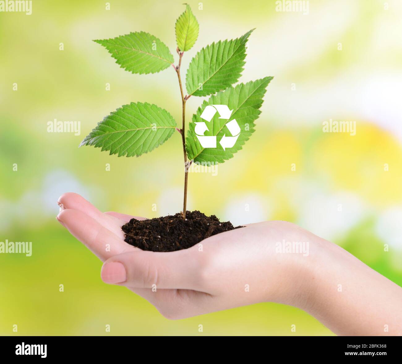 Plant with recycle symbol in hand on bright background Stock Photo - Alamy