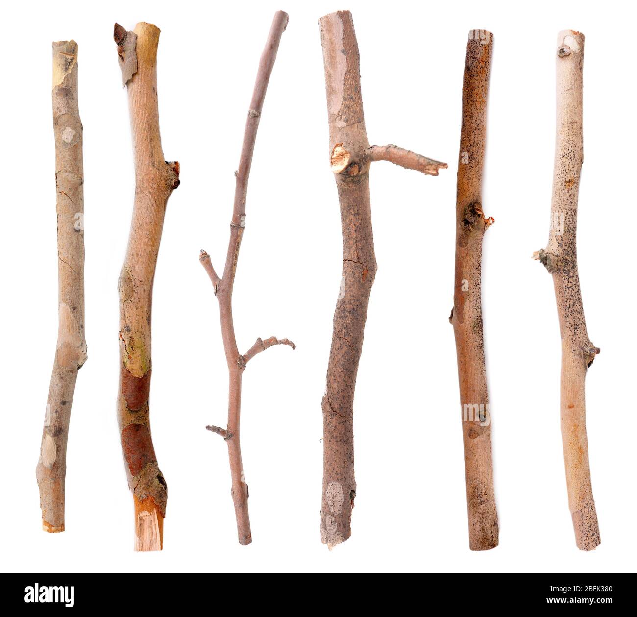 Dry tree branches isolated on white Stock Photo - Alamy