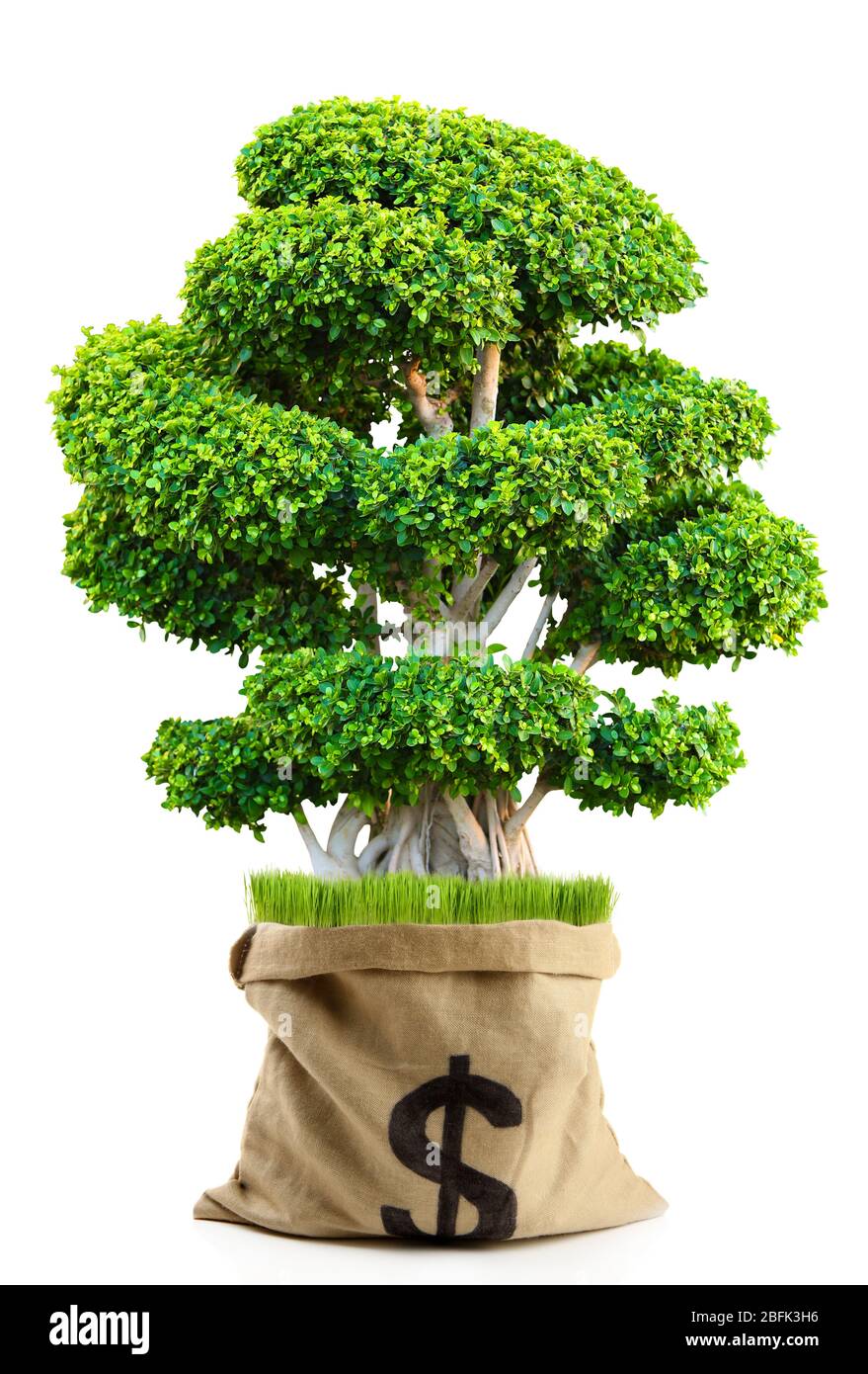 Save sign on tree Cut Out Stock Images & Pictures - Alamy