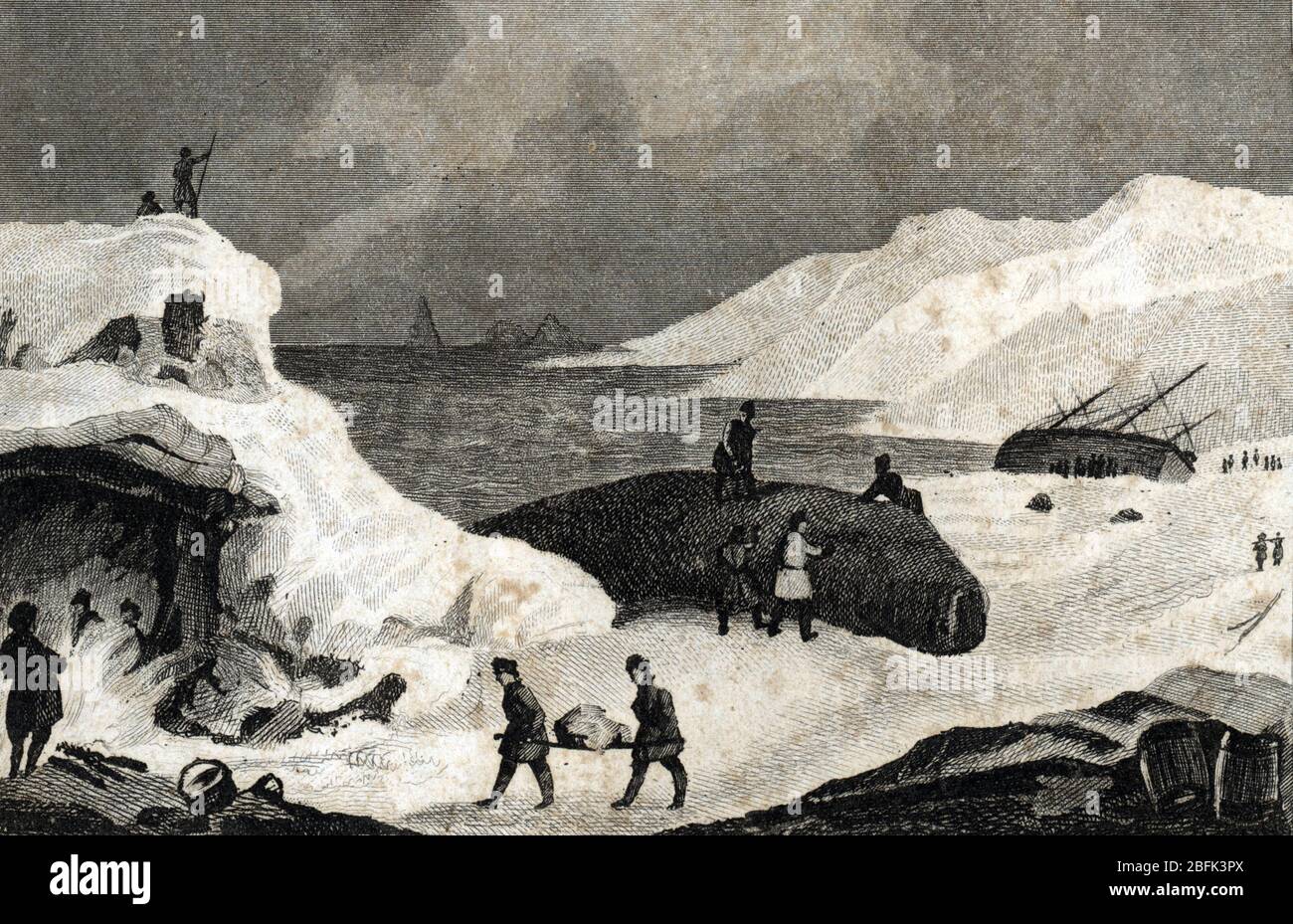 Vitus bering hi-res stock photography and images - Alamy