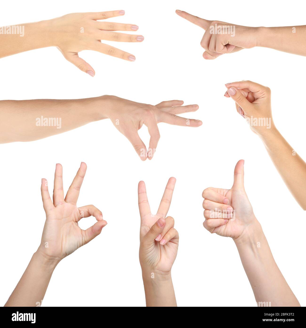 Hand collage, gestures set isolated on white Stock Photo - Alamy