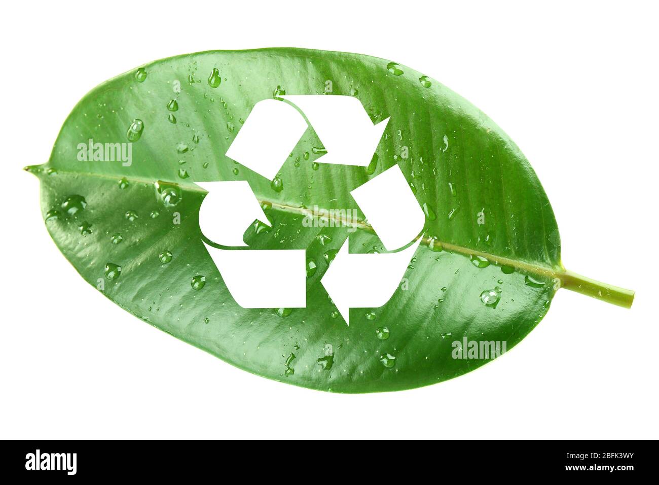 Recycle symbol on green leaf, recycling concept Stock Photo - Alamy