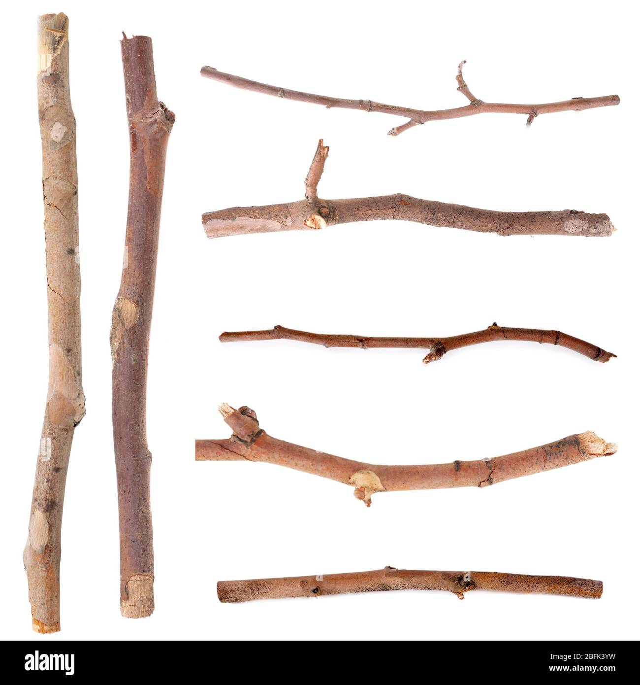 Dry tree branches isolated on white Stock Photo - Alamy