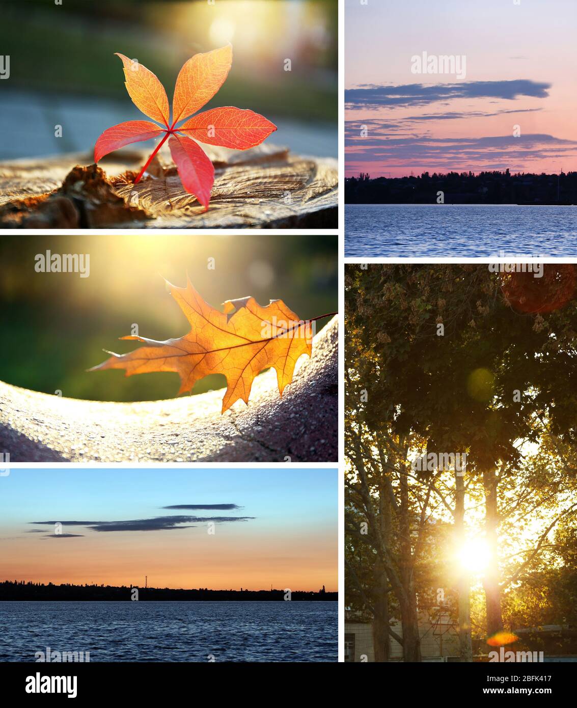 Beach scene collage hi-res stock photography and images - Alamy