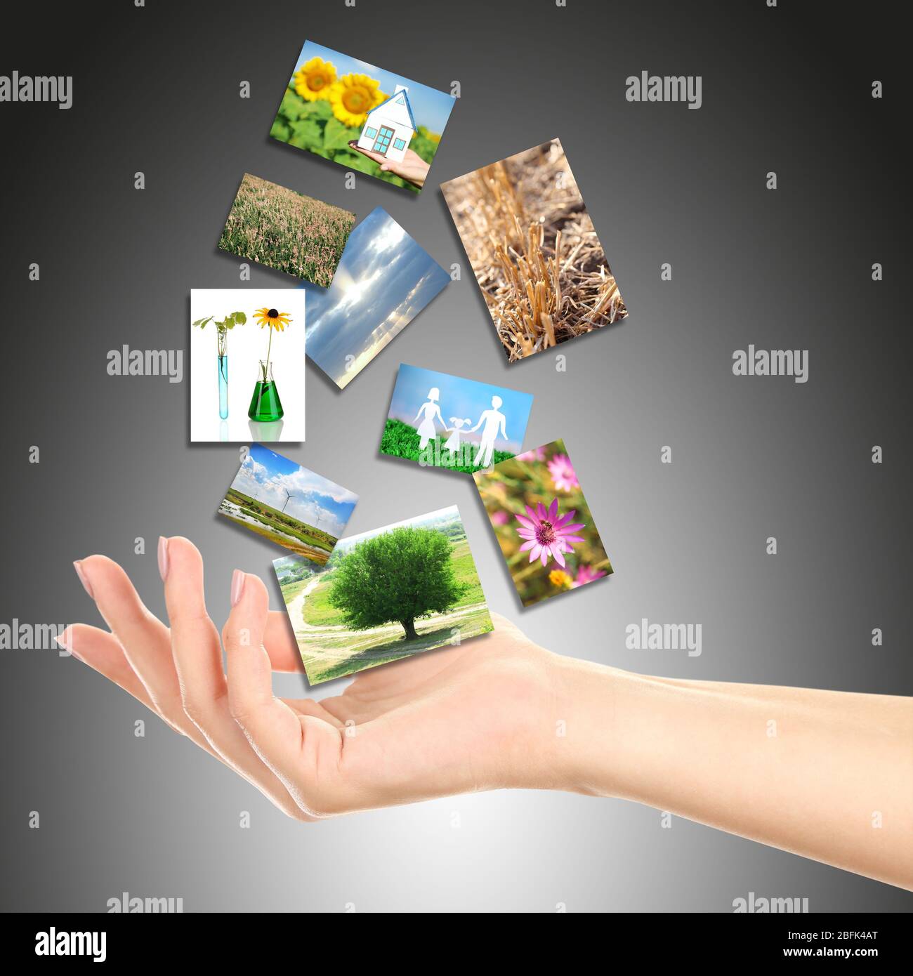 Images of nature objects in hand on grey background Stock Photo - Alamy