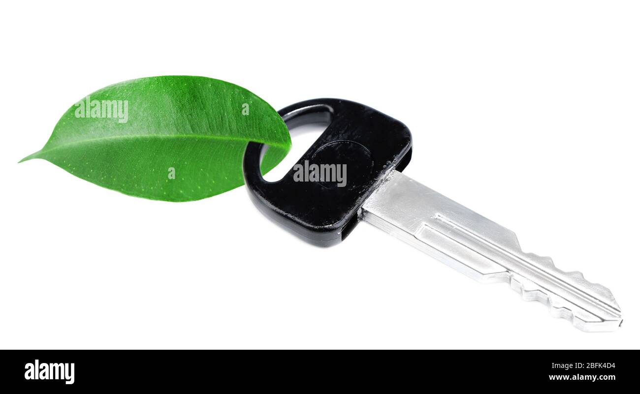 Car key with green leaf trinket isolated on white Stock Photo - Alamy