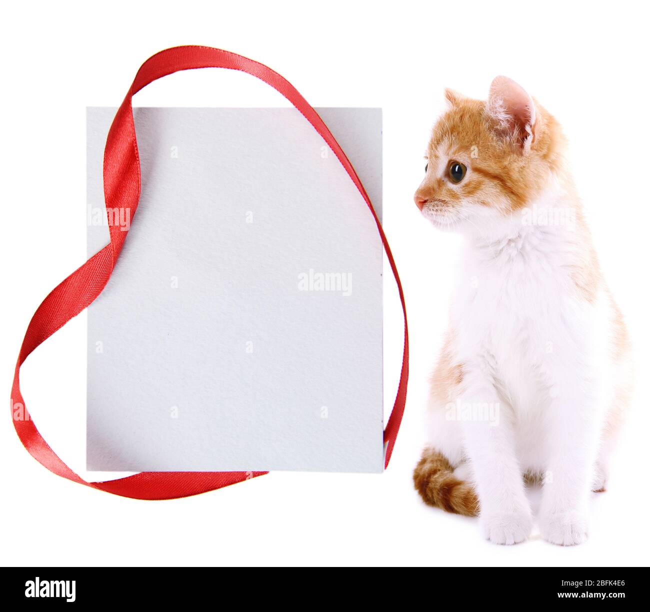 Greeting card love cat Cut Out Stock Images & Pictures - Alamy