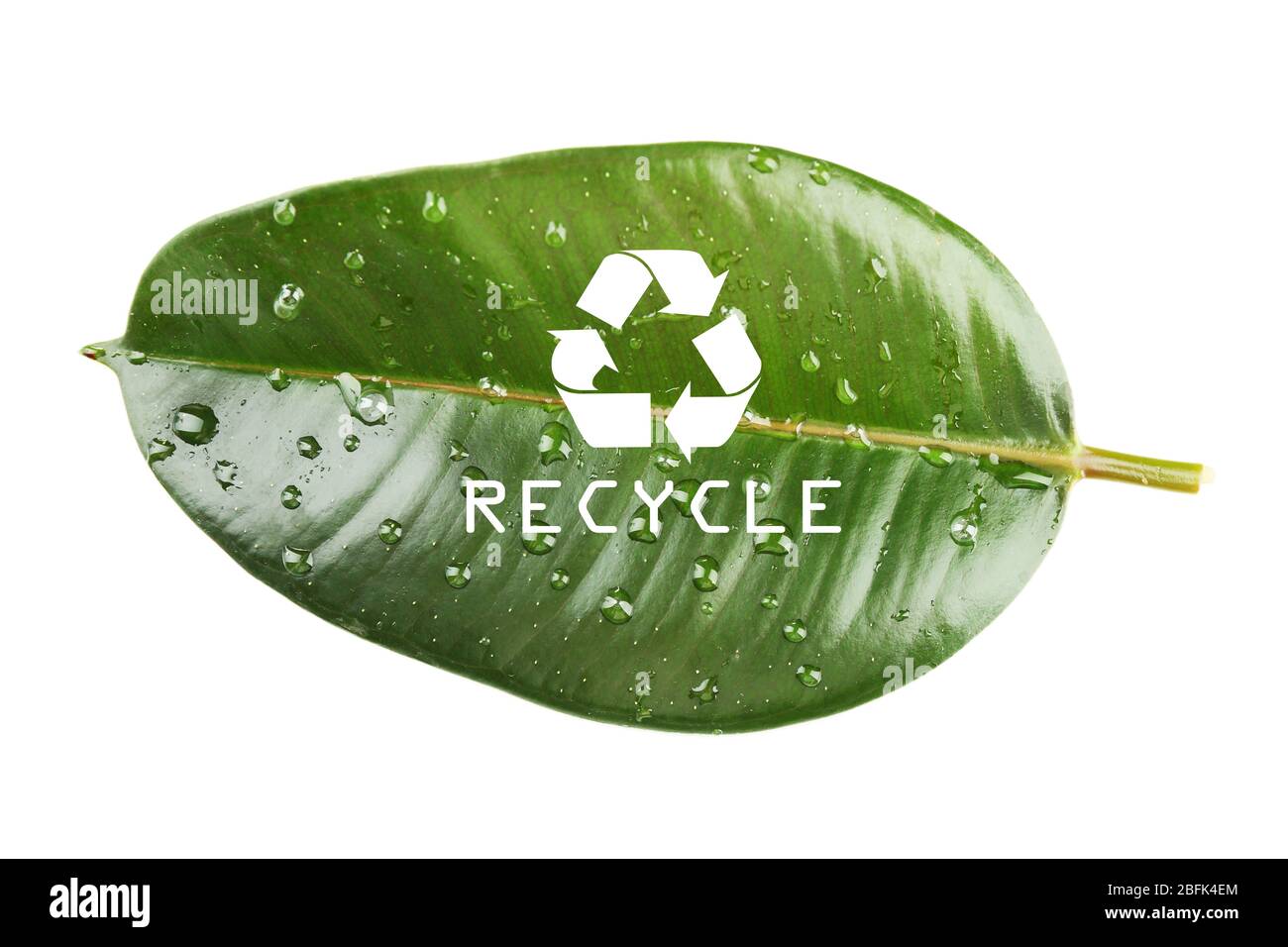 Recycle symbol on green leaf, recycling concept Stock Photo - Alamy