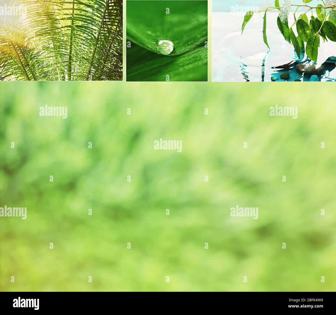 Beautiful nature collage Stock Photo - Alamy