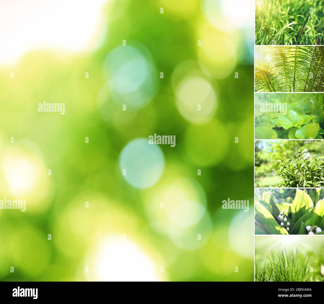 Beautiful nature collage Stock Photo - Alamy