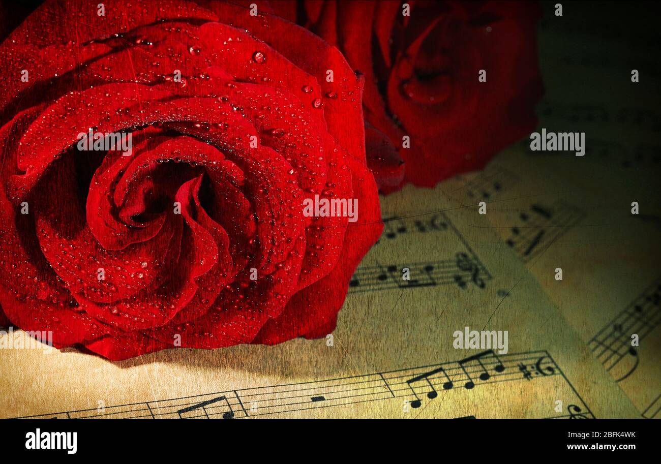 Red Roses Music Notes High Resolution Stock Photography and Images - Alamy
